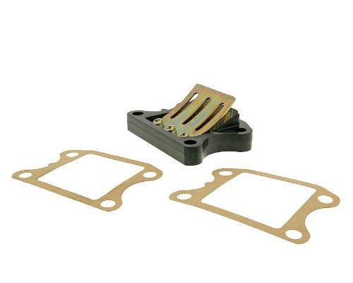 Top Performances carbon reed valve for Honda Dio – Dynoscooter.com